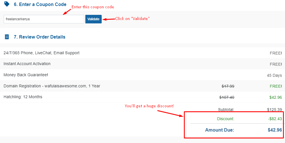 How to Host Your Website or Blog (With Pictures) | FreelancerKenya